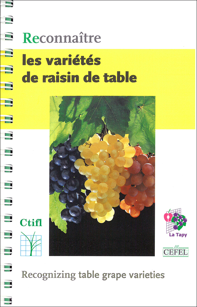 Fiches techniques Agréage - Raisin de table