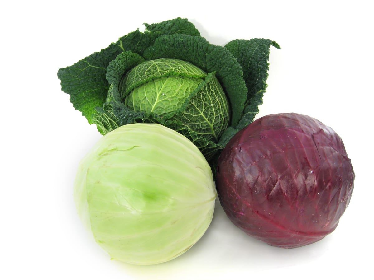 Fiches techniques Agréage - Choux pommés